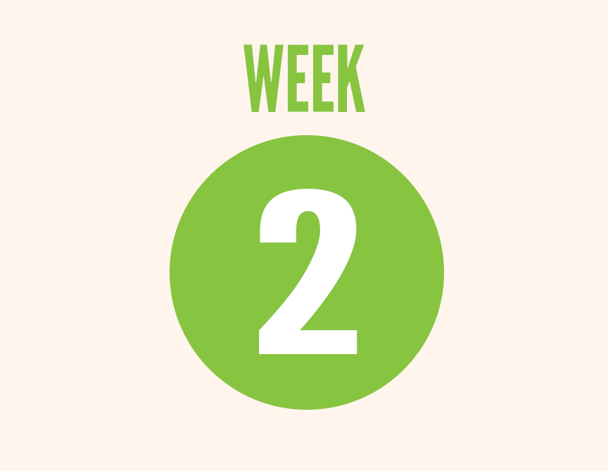 Photo Gallery – Orah Day Camp | Summers of Endless Fun