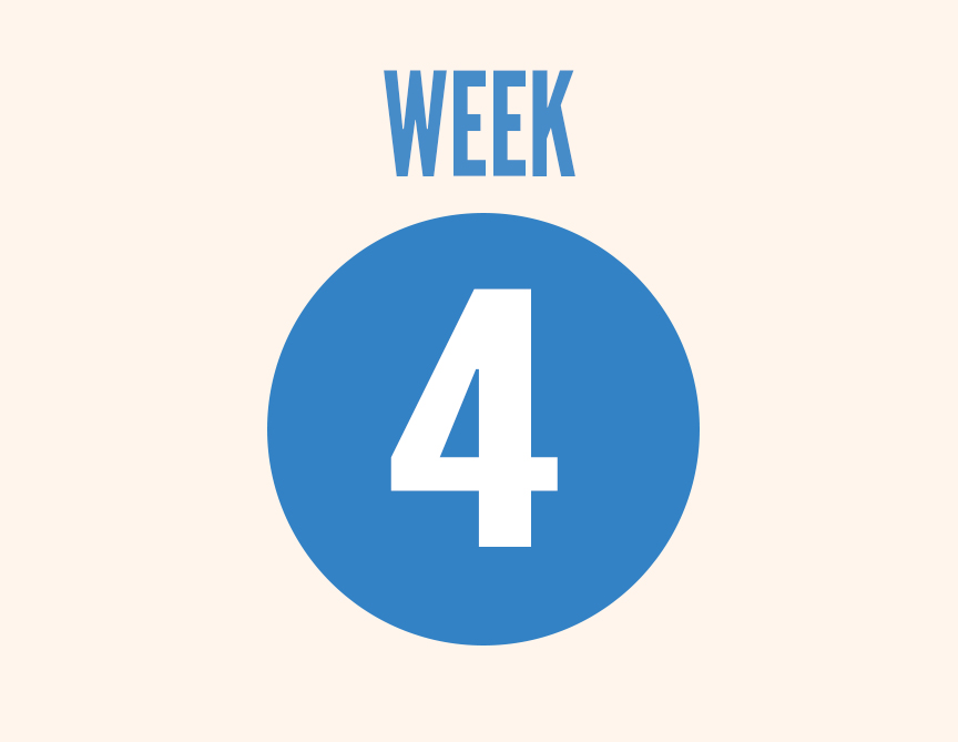 Photo Gallery – Orah Day Camp | Summers of Endless Fun