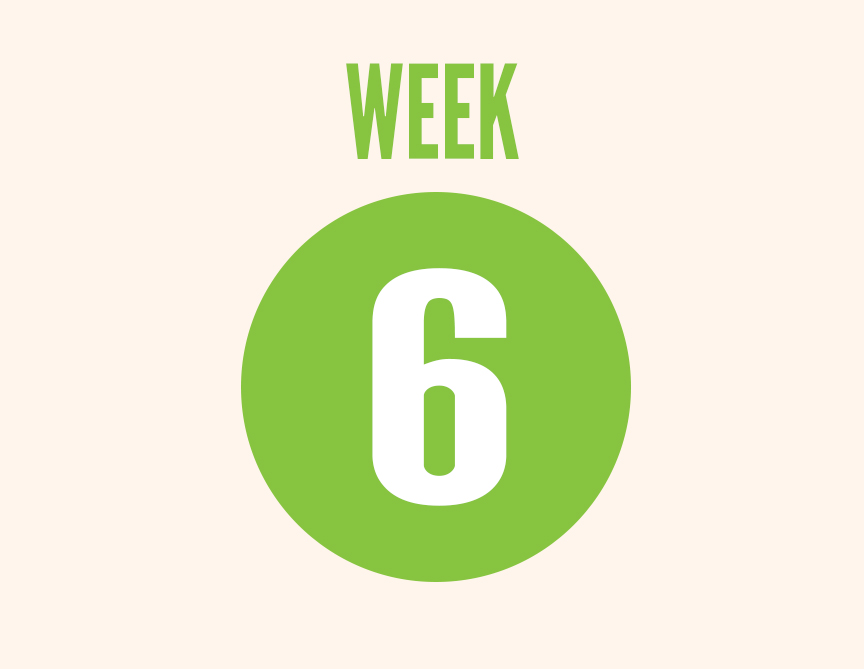 Photo Gallery – Orah Day Camp | Summers of Endless Fun